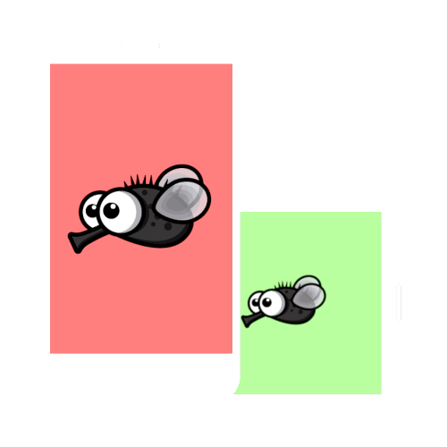 How To Play Fly Or Die